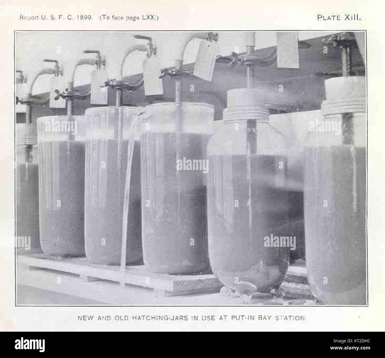 The use of new and old hatching jars at Put-In Bay Station demonstrates ...