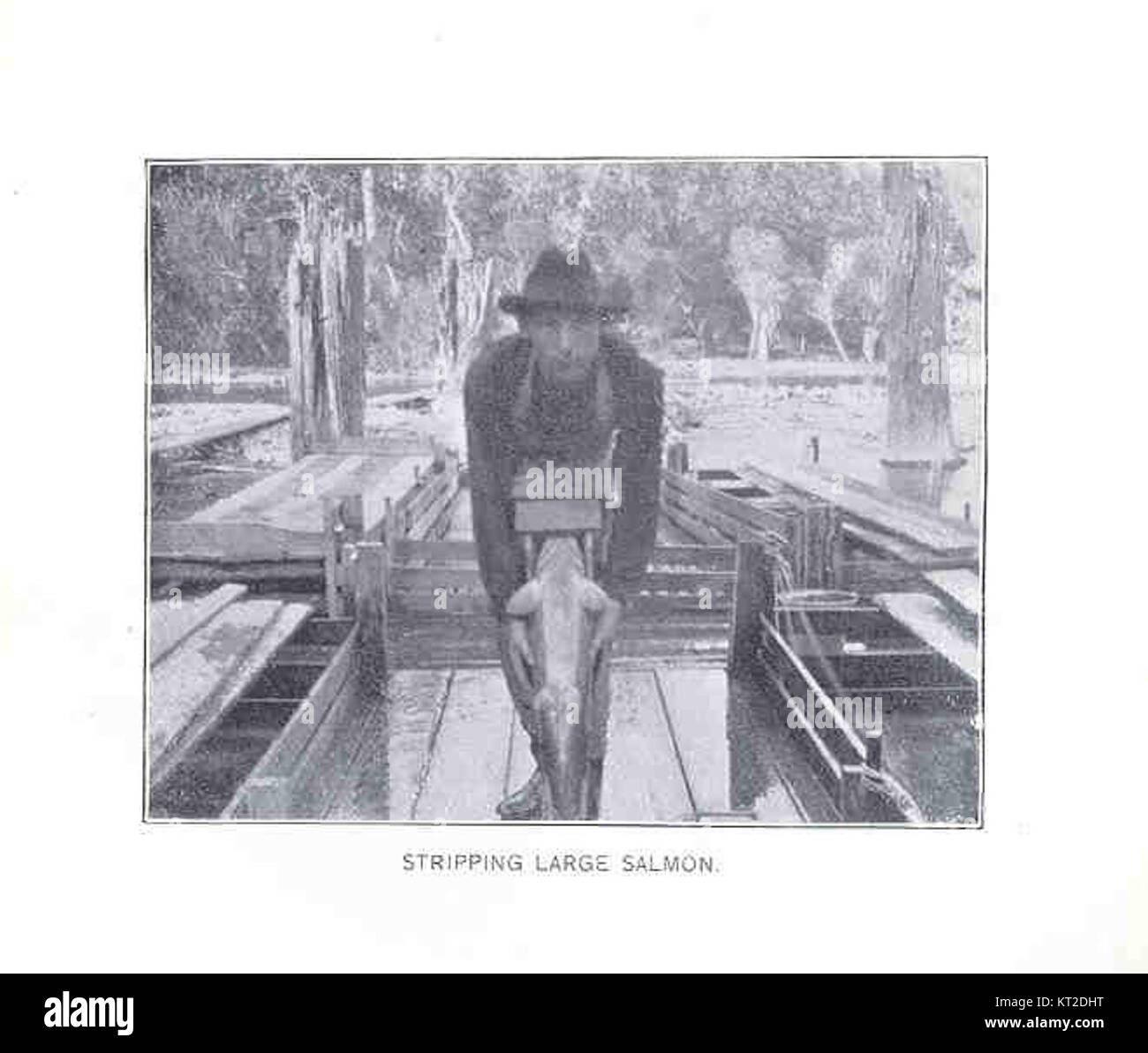 Detailed image showcasing process hi-res stock photography and images ...