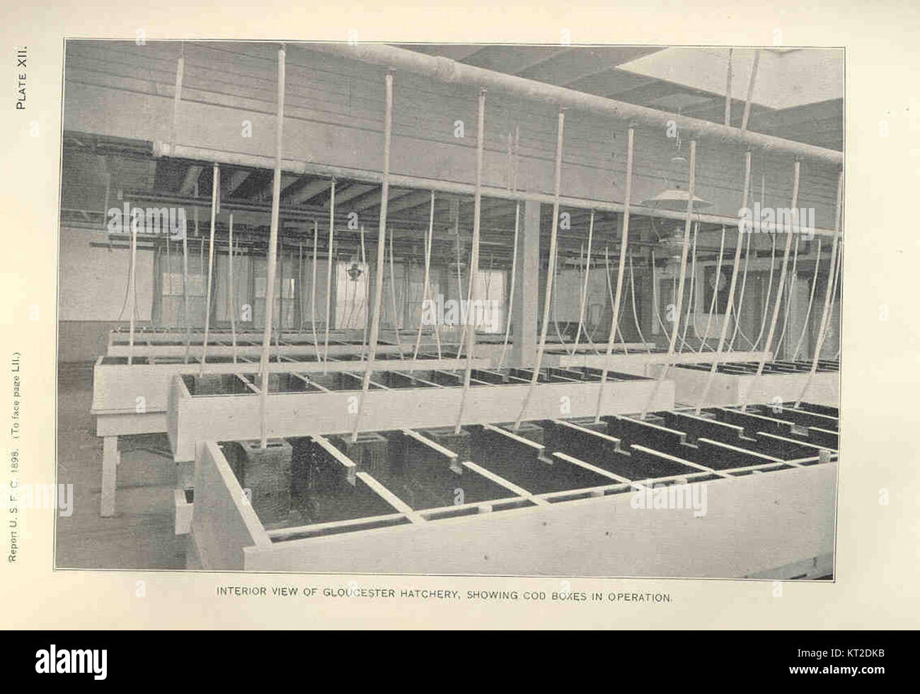 This image depicts the interior view of the Gloucester Hatchery, a ...