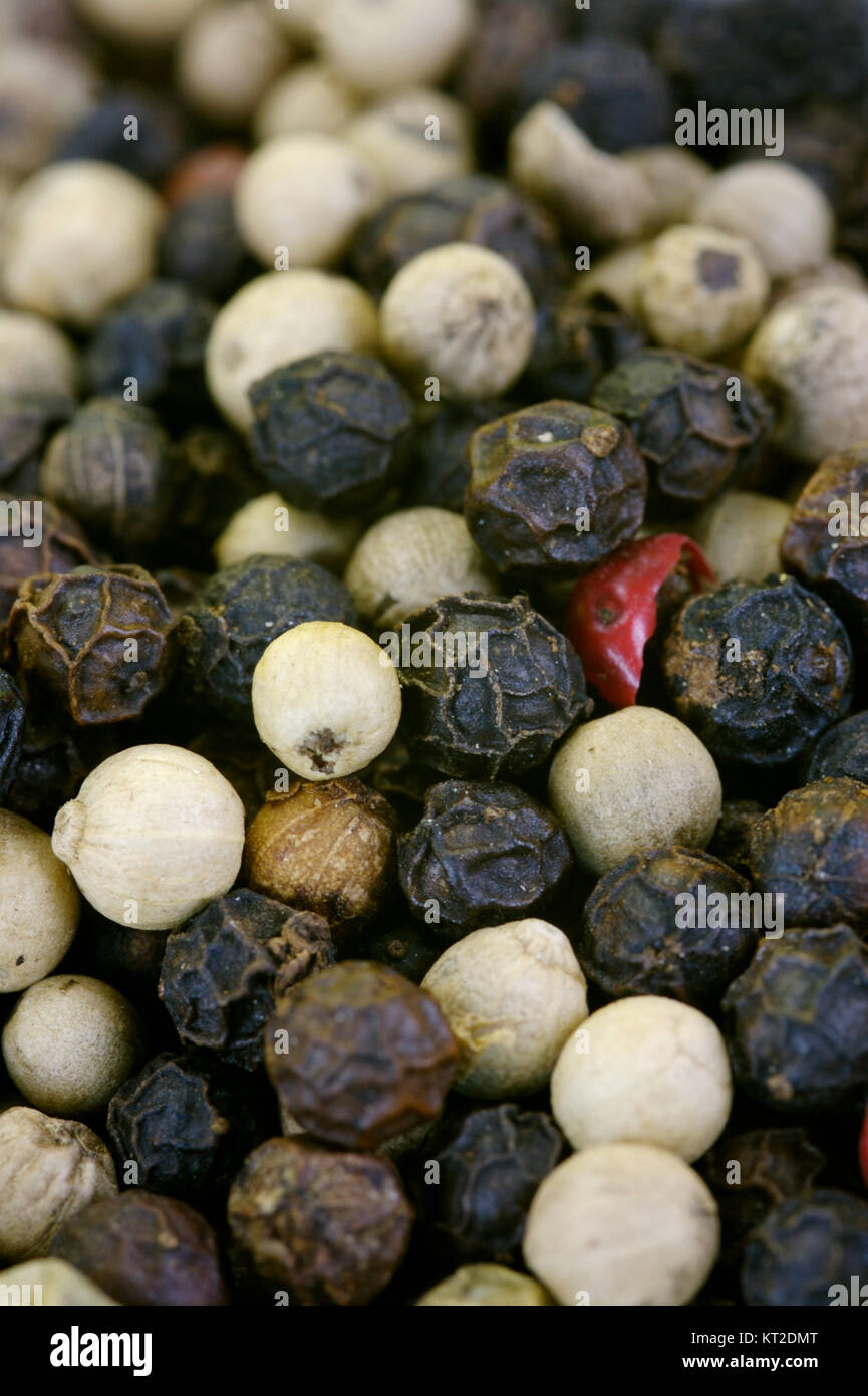 A close up shot of mixed pepper corns mixed together Stock Photo - Alamy