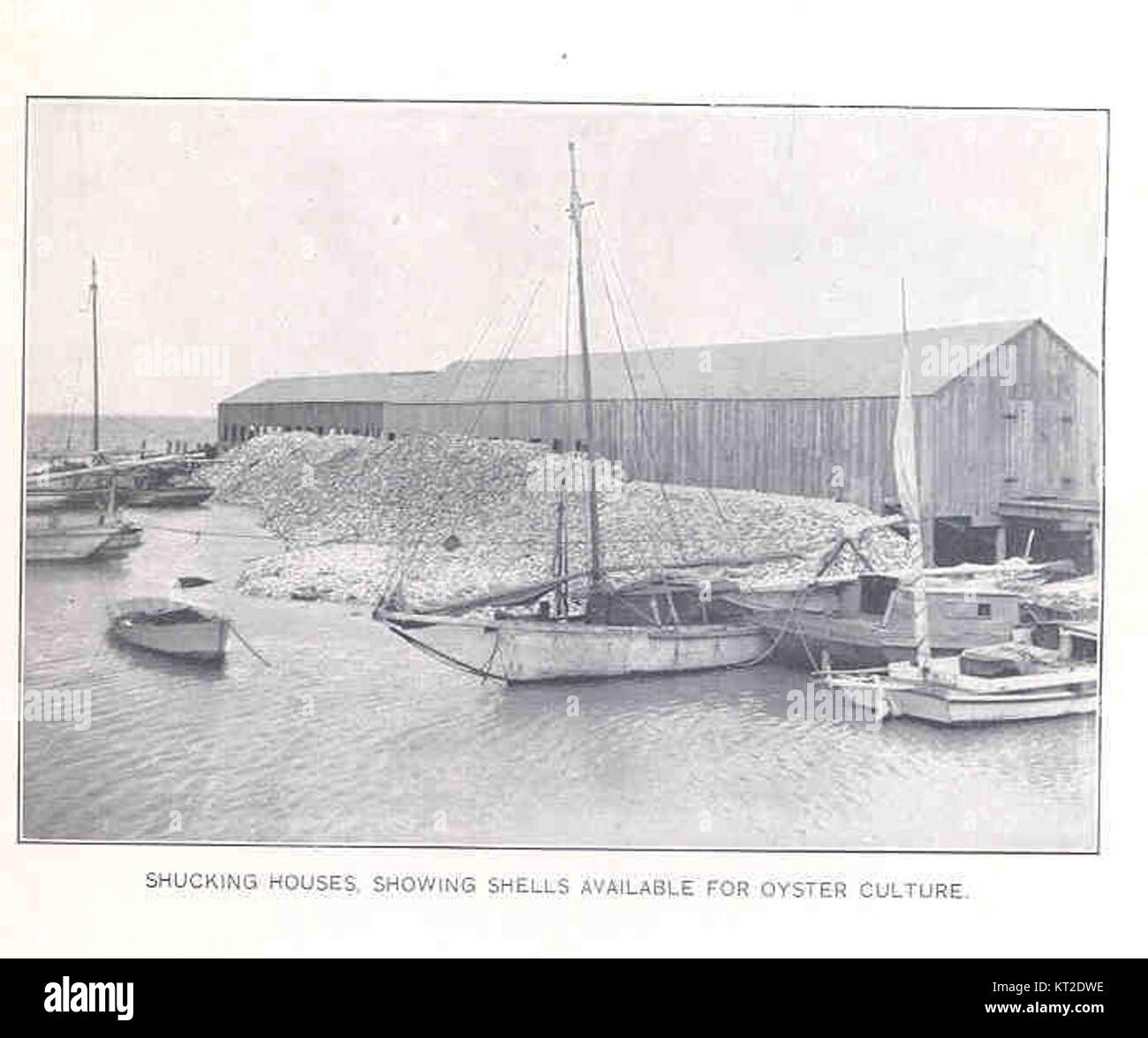 The Shucking Houses, identified by the number 33435, are structures ...