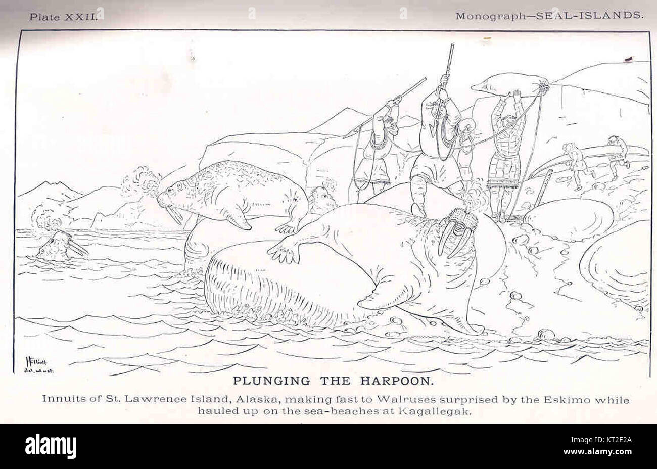 This image depicts the action of plunging a harpoon, a key technique ...