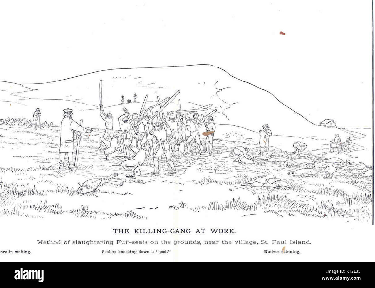 Gang killing hi-res stock photography and images - Alamy