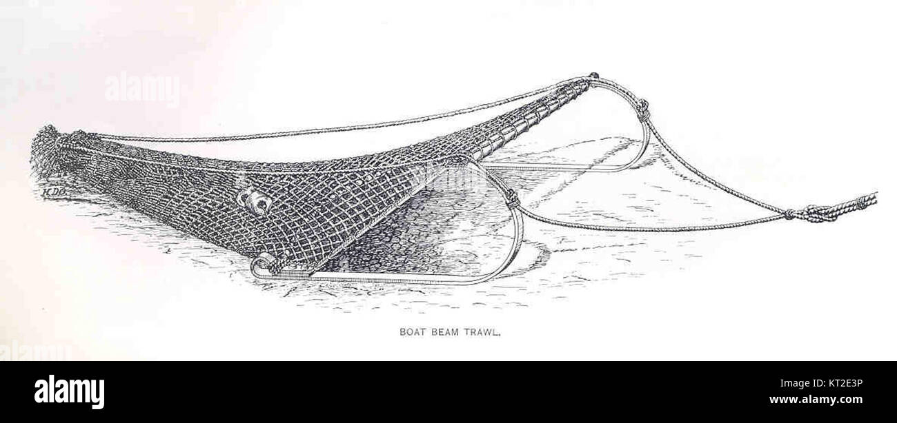 The 33562 Boat Beam Trawl is a fishing net used for commercial fishing ...