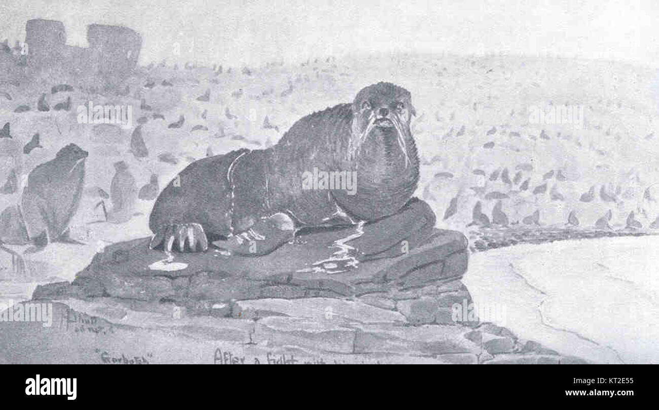 'Old Bull Crippled in Combat' is a historical reference to a battle ...