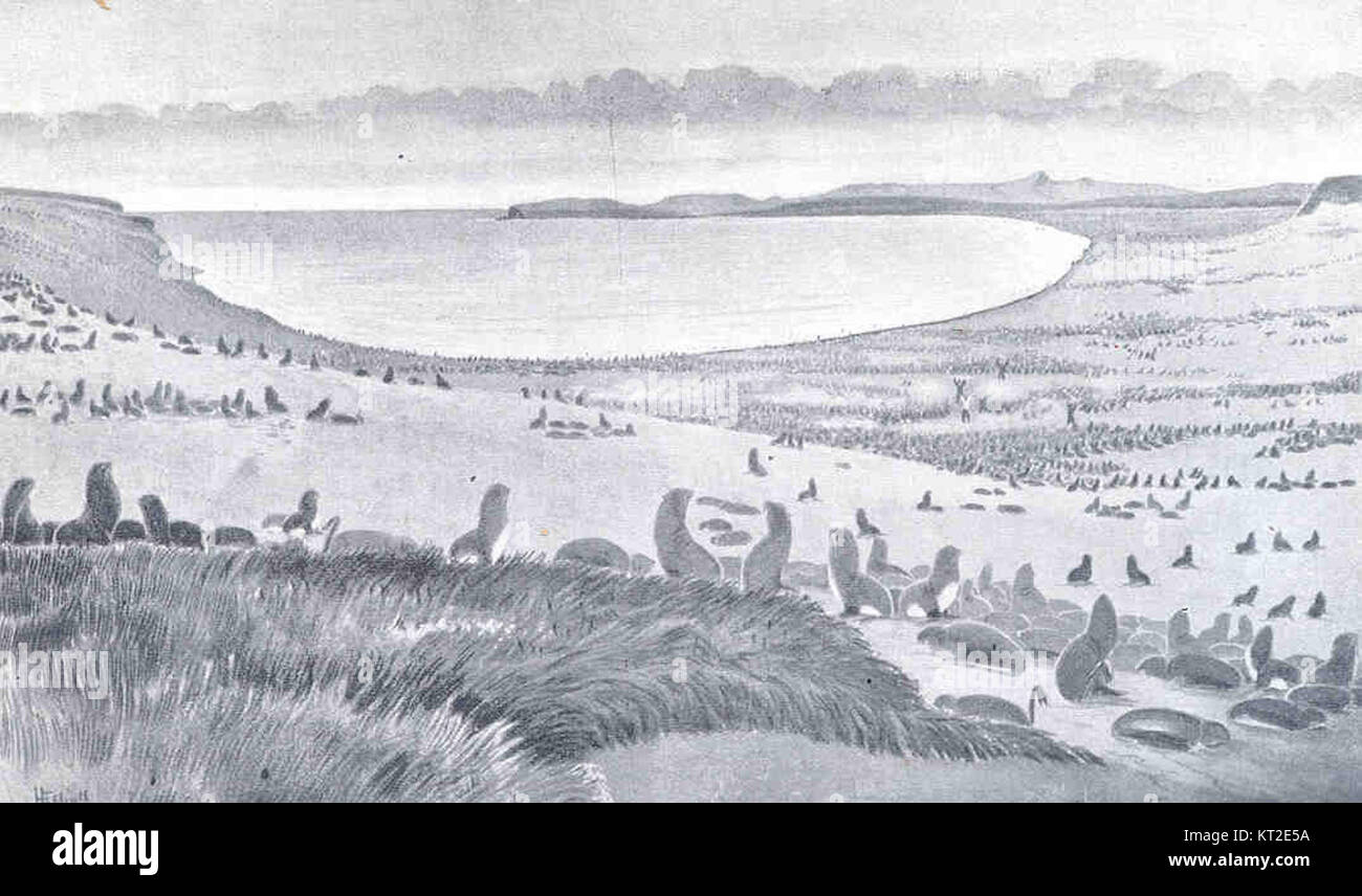 The image of *Holluschickie Hauling* on the sands of English Bay, taken ...