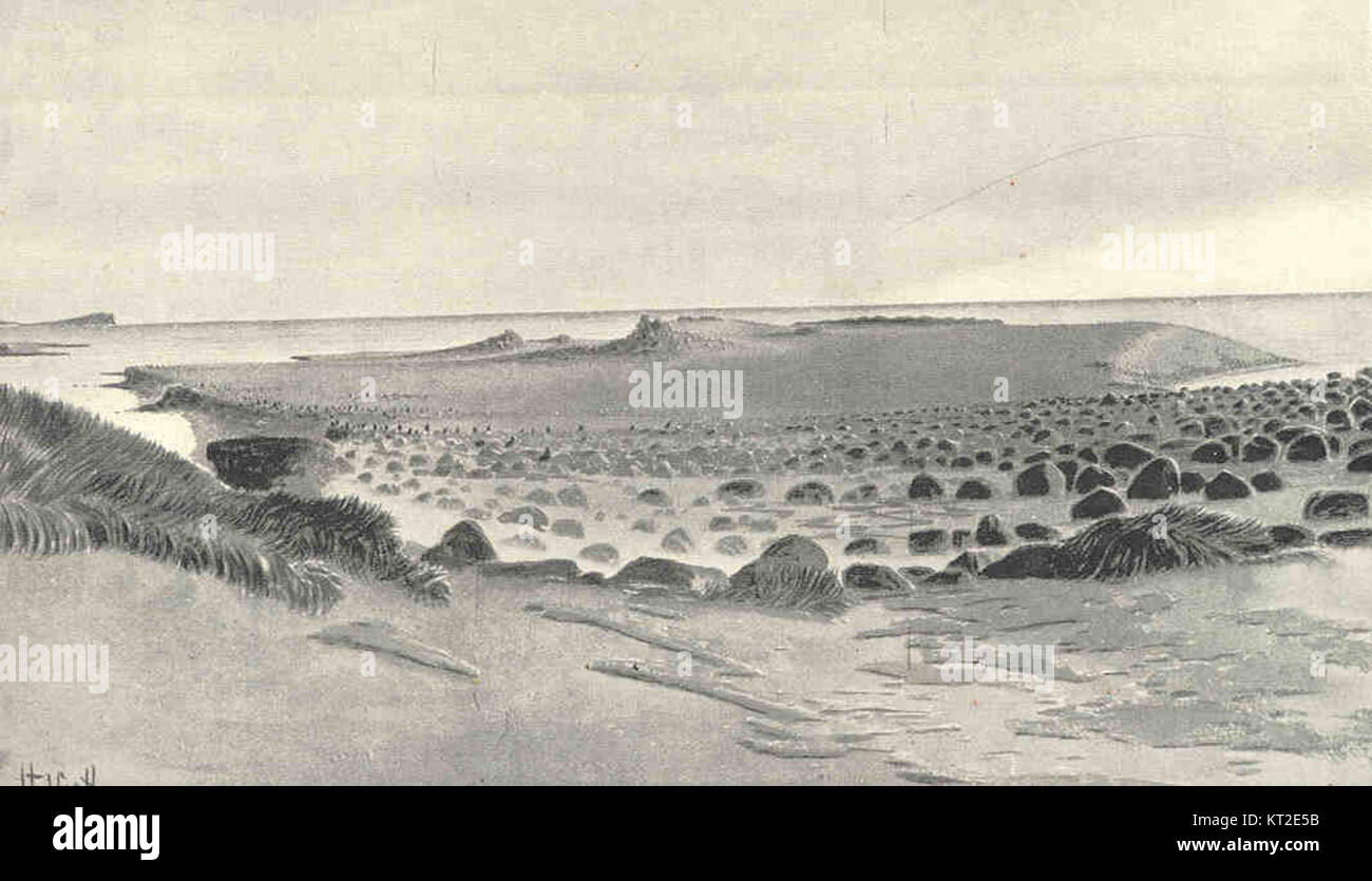 Reef and Garbotch Rookeries are significant bird colonies located off ...