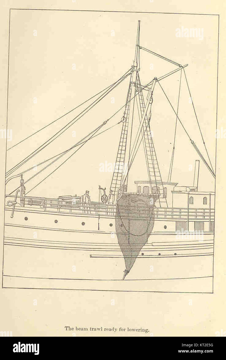 A depiction of the Fish Hawk fishing trawler, showcasing its beam trawl ...