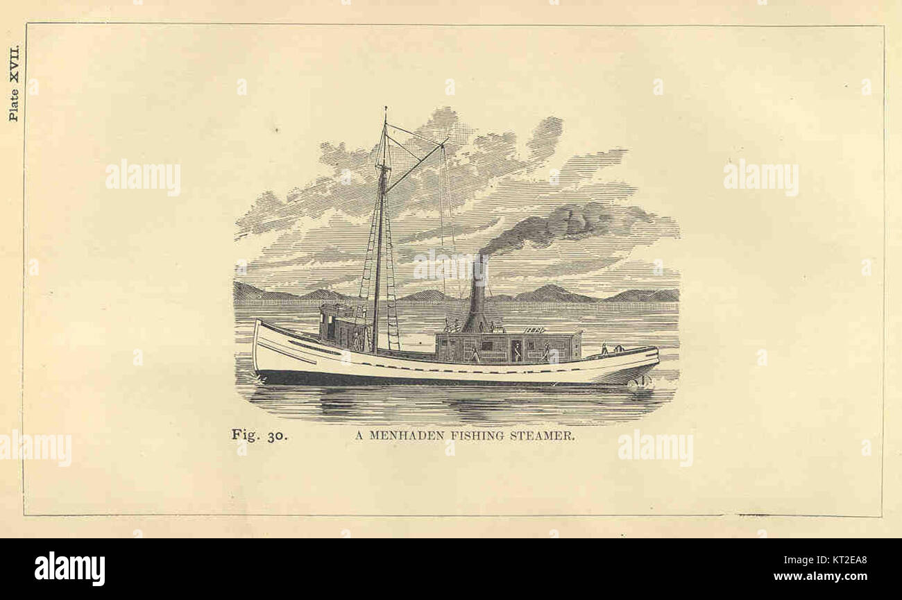 The *33681 Menhaden Fishing Steamer* is a notable vessel in the fishing ...