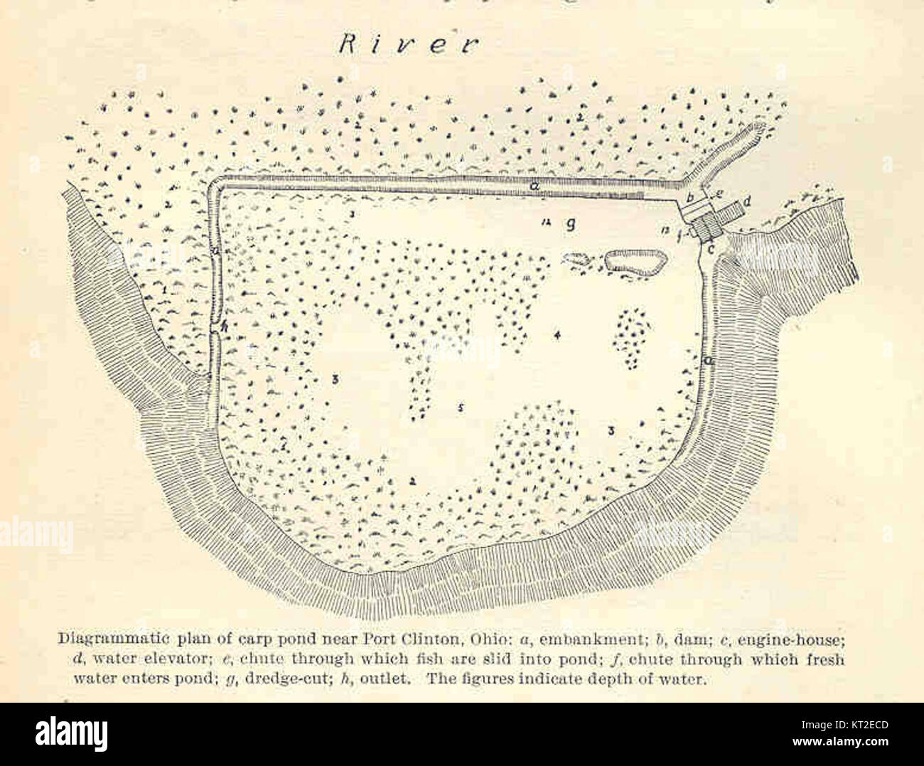 This diagram shows the design plan of a carp pond located near Port ...