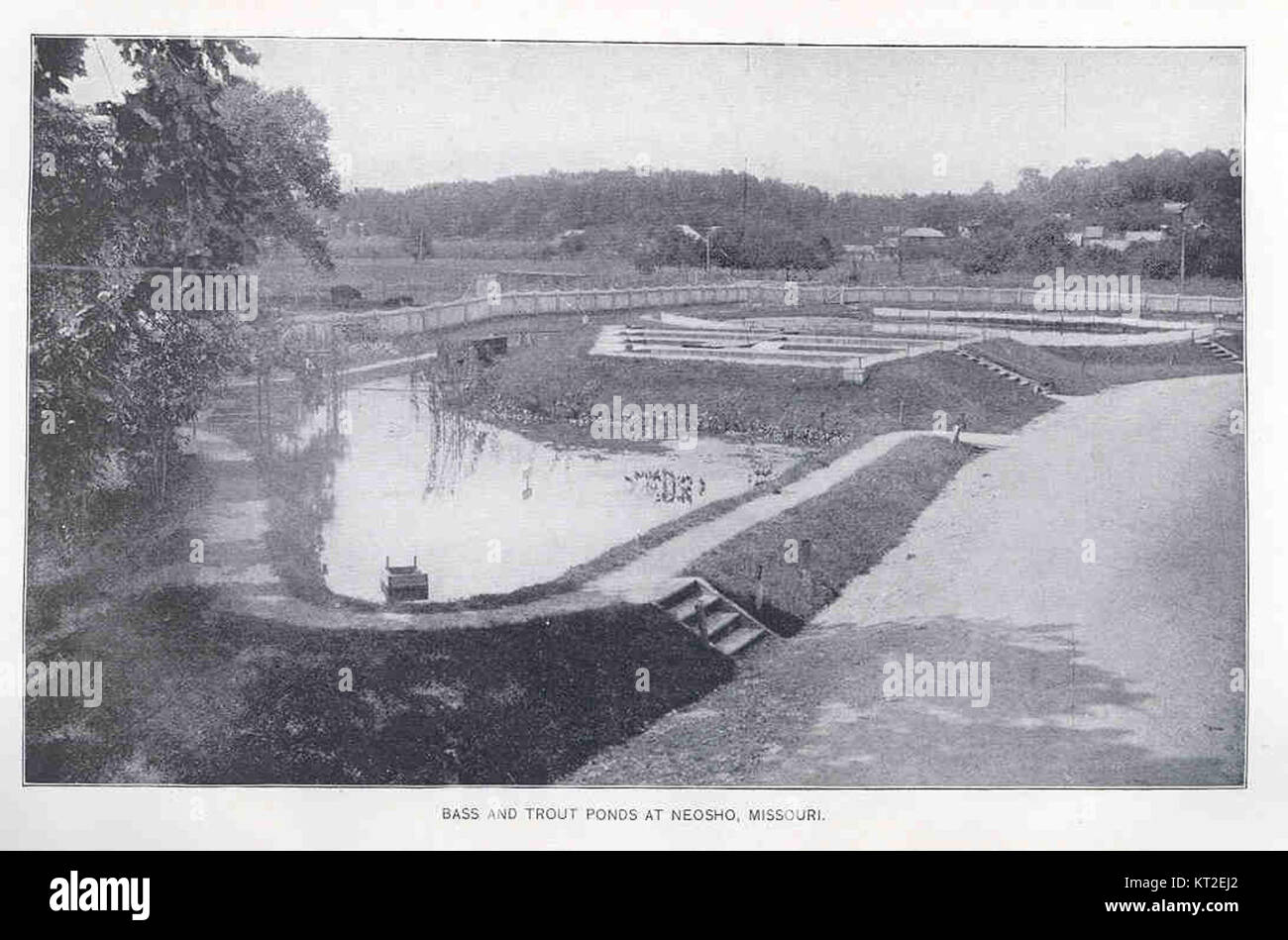 33803 Bass and Trout Ponds at Neosho, Missouri Stock Photo - Alamy
