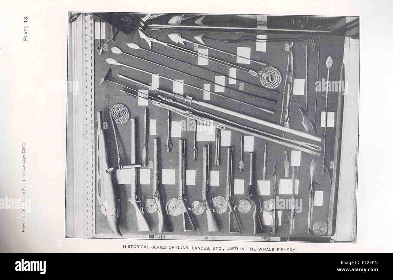 This historical series explores the tools used in the whale fishery ...