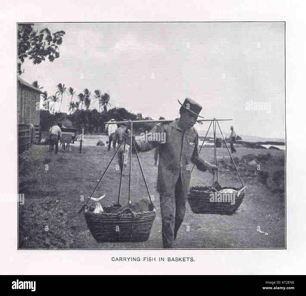 33823 Carrying Fish in Baskets Stock Photo - Alamy