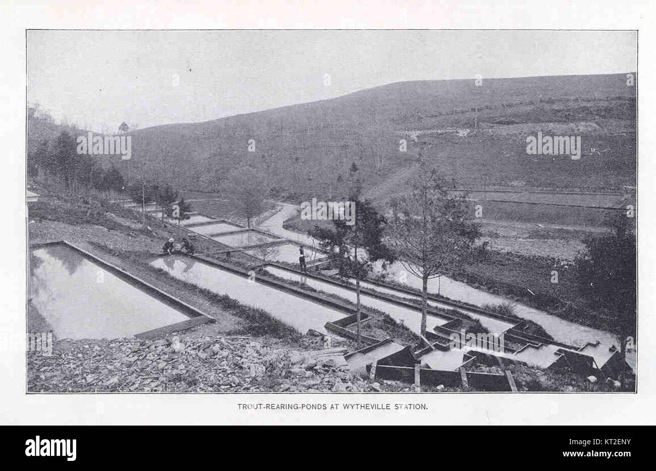 The image shows the trout-rearing ponds at Wytheville Station, used for ...
