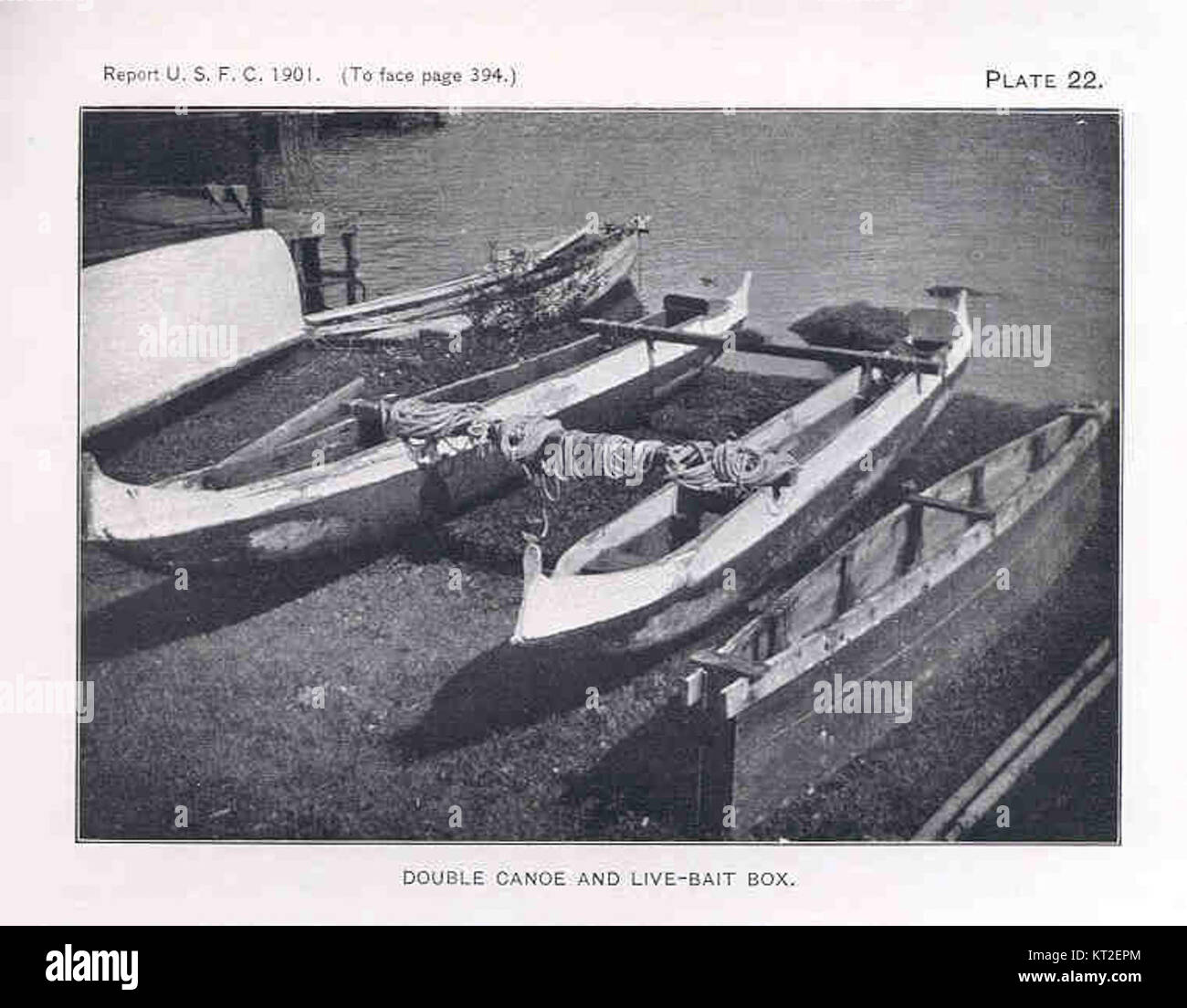 The double canoe with a live-bait box is an artifact used in ...