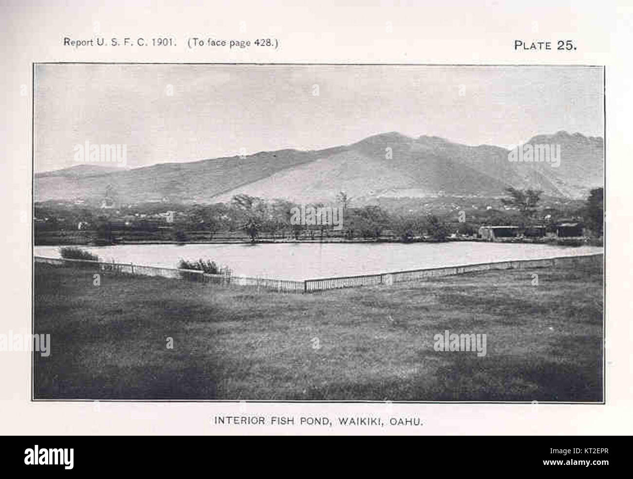 This image shows an interior fish pond located in Waikiki, Oahu, known ...