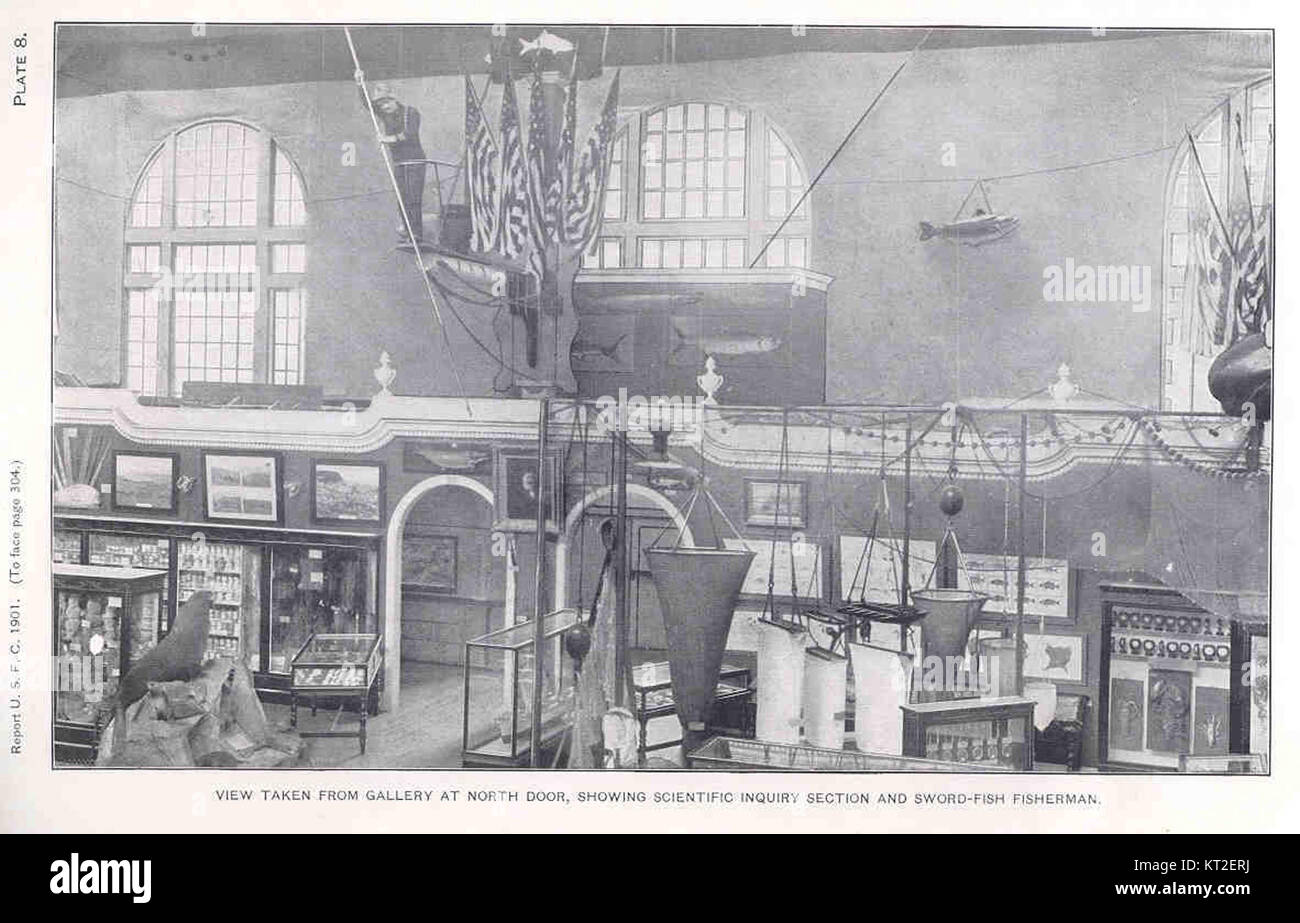 This image captures a view from the gallery at the north door of a ...