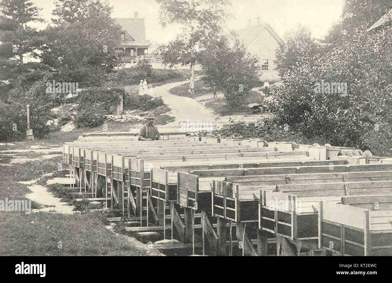 Salmon rearing troughs are structures used in aquaculture to grow and ...