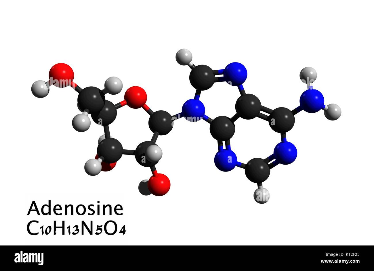 Purine nucleoside molecule Cut Out Stock Images & Pictures - Alamy