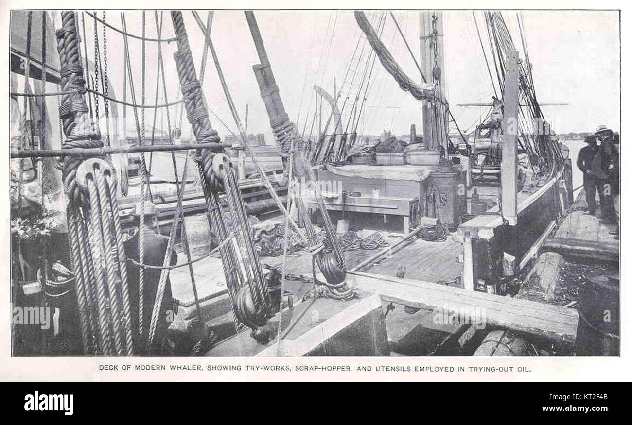 A deck from a modern whaler ship, featuring a view of the whaling ...
