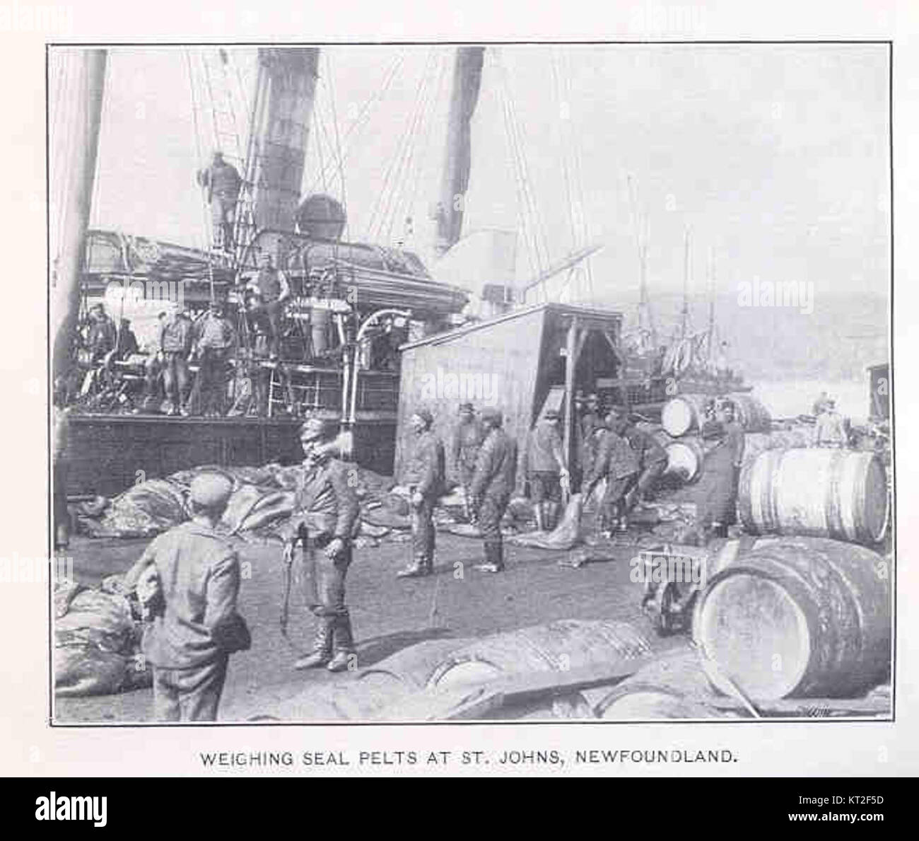 This photograph from St. John's, Newfoundland, depicts workers weighing ...
