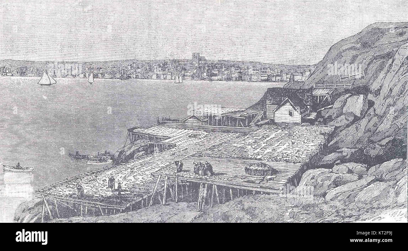 This image depicts the process of curing cod in Newfoundland, a ...