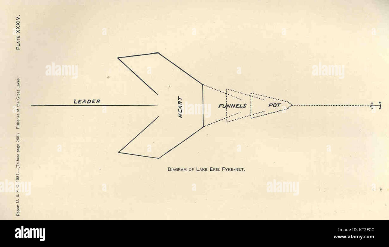 This diagram illustrates the fyke-net used in Lake Erie for fishing, a ...