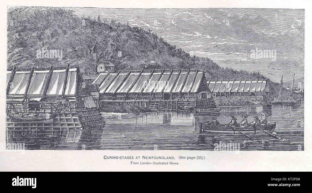 34079 Curing-Stages at Newfoundland Stock Photo - Alamy