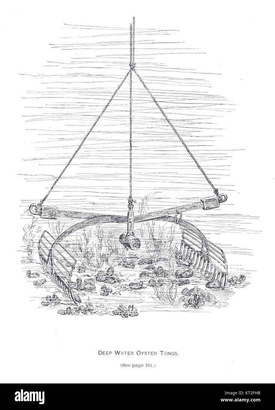 Deep based Cut Out Stock Images & Pictures - Alamy