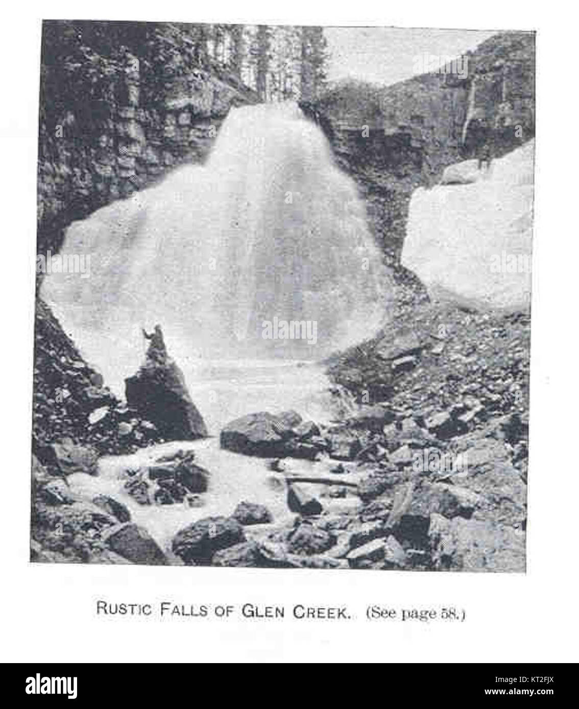 Forest water feature Cut Out Stock Images & Pictures - Alamy