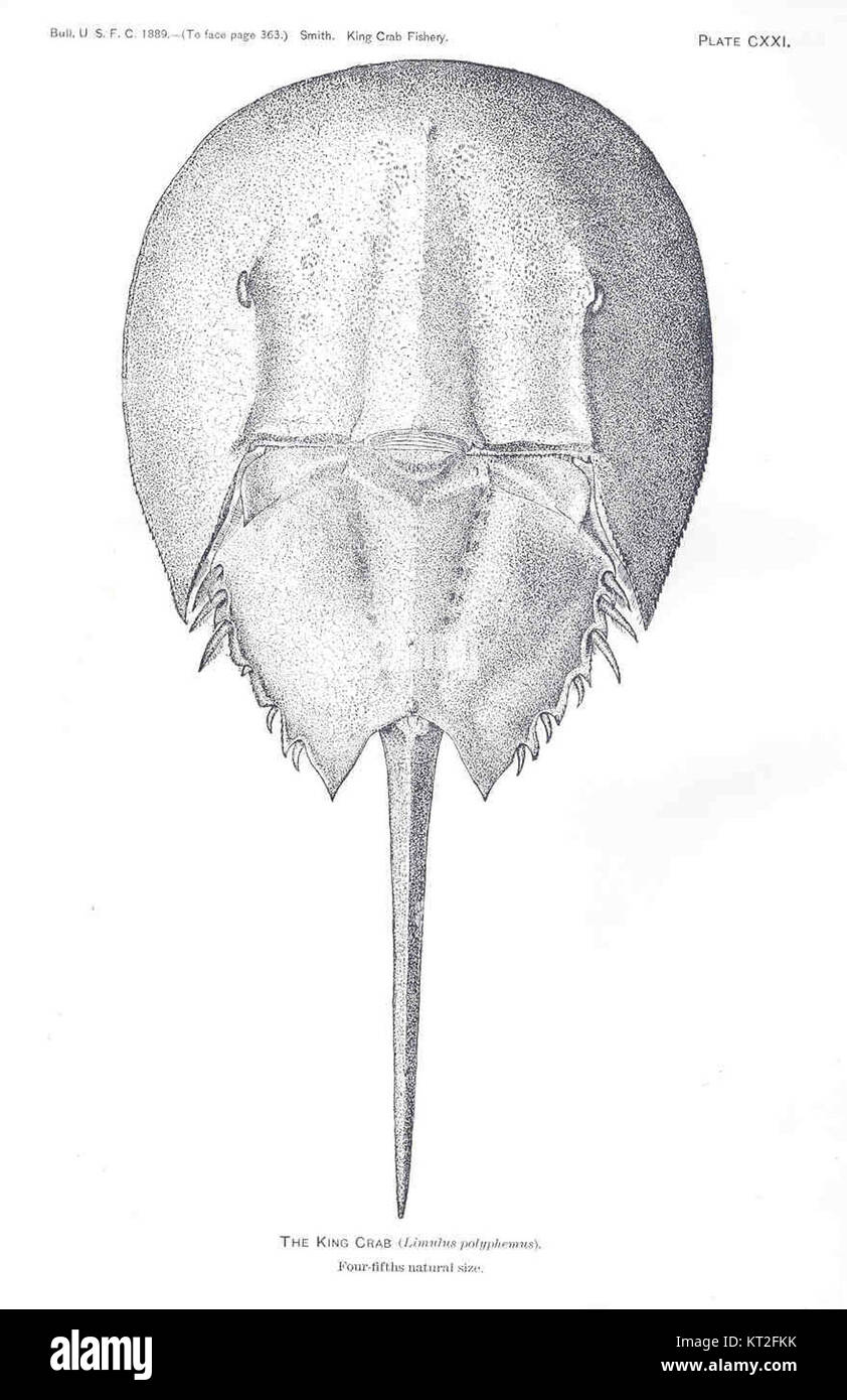 Limulus Diagram