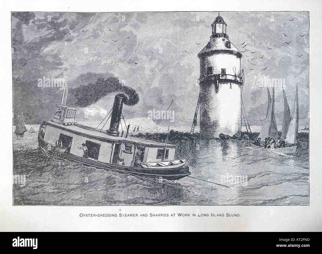 This photograph depicts an oyster-dredging steamer and sharpies working ...