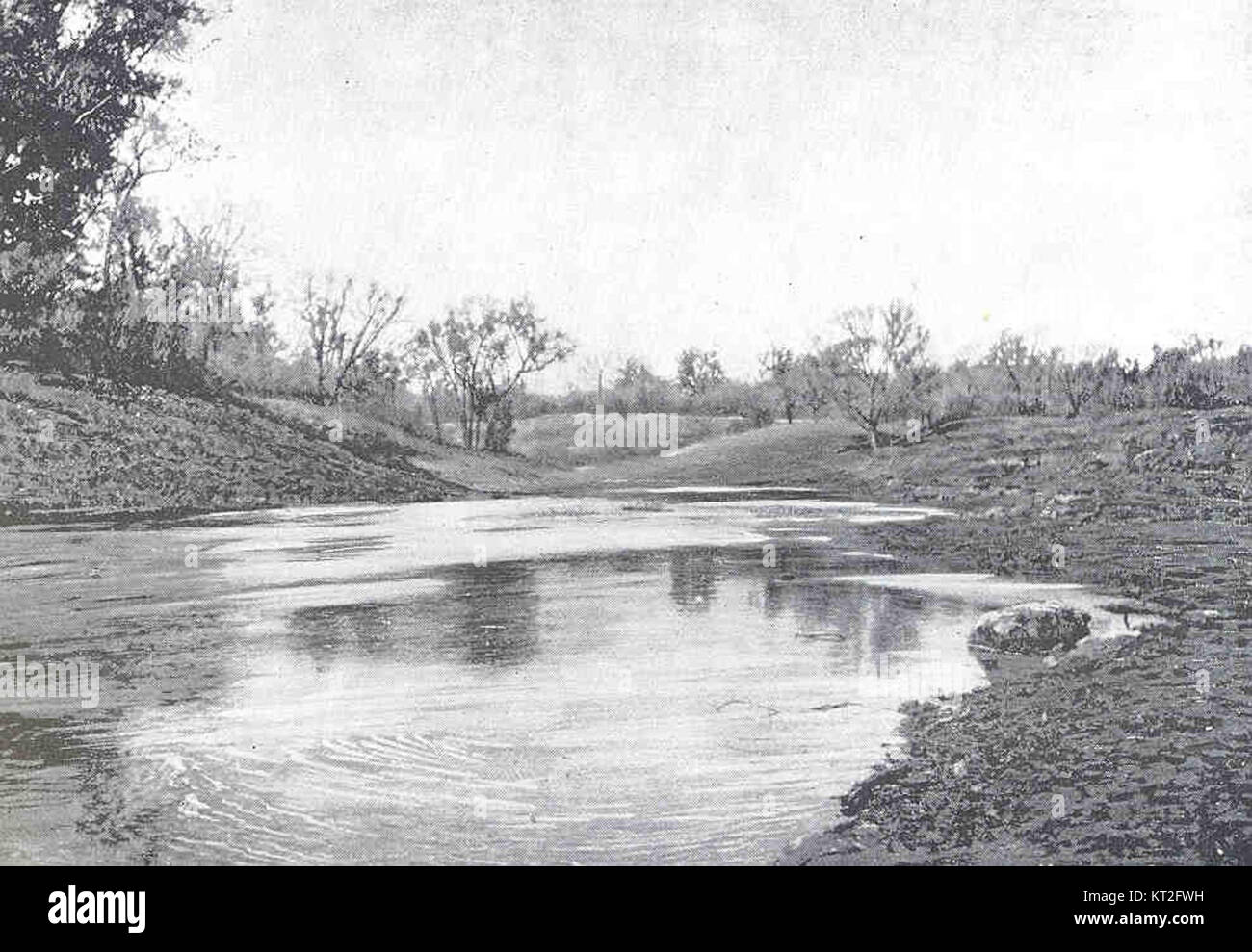 This image depicts the Trinity River near Magnolia Point, Texas ...