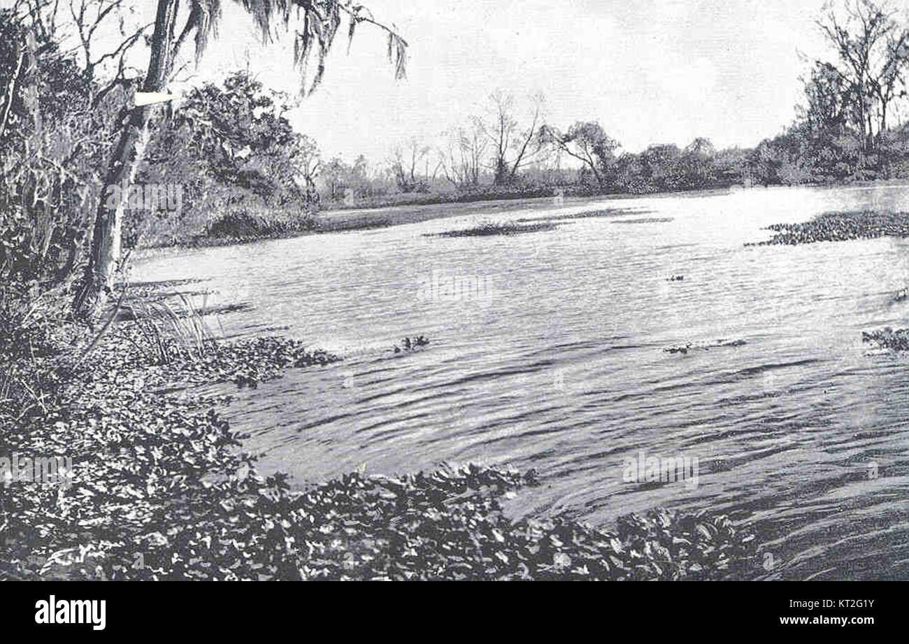 San Marcos Spring, located in San Marcos, Texas, is a natural spring ...
