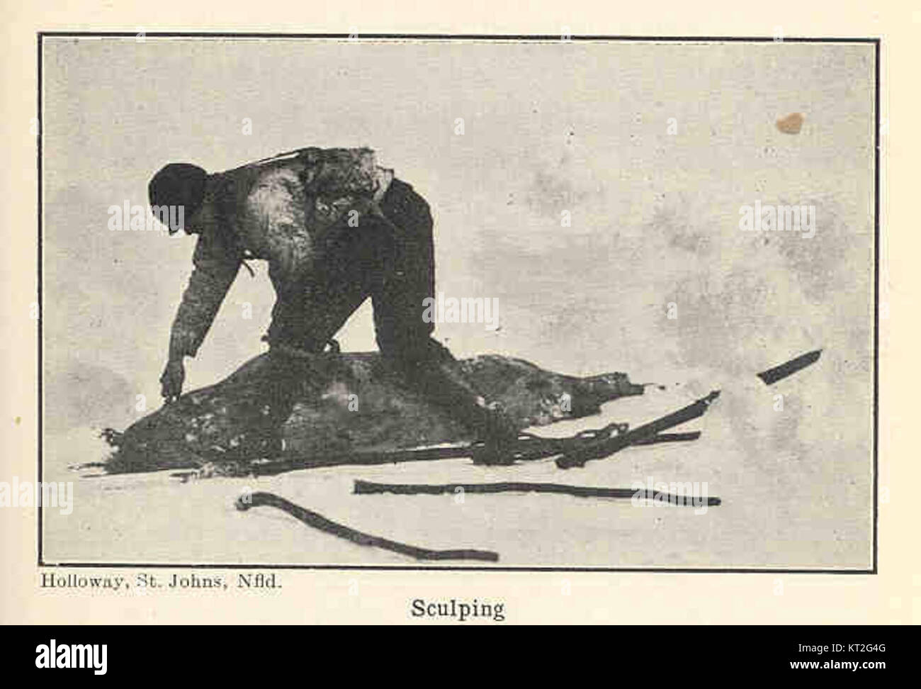 Sculpting refers to the art form of creating three-dimensional works by ...