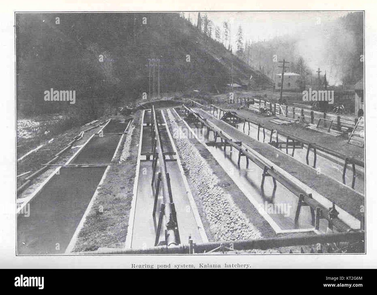 Photograph of the rearing pond system at Kalama Hatchery, Washington ...