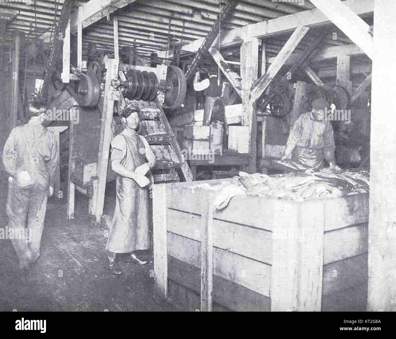 This image shows the process of cutting salmon into smaller pieces ...