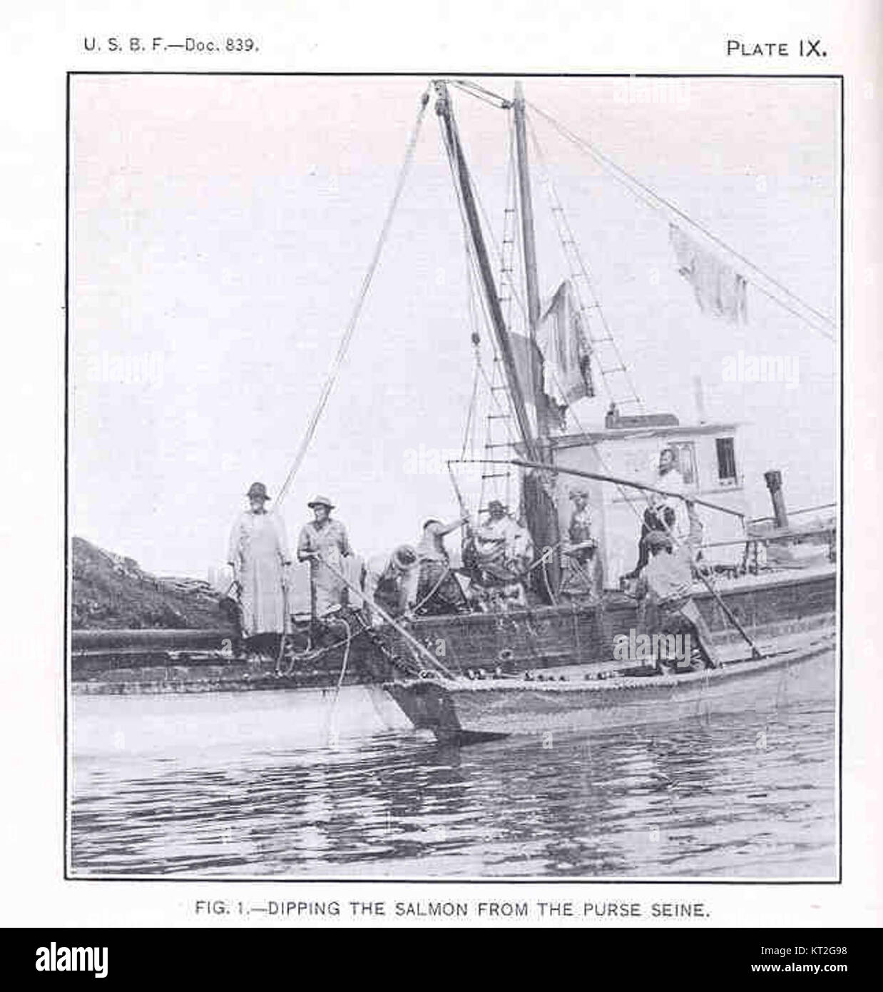 This image depicts the process of dipping salmon from a purse seine, a ...