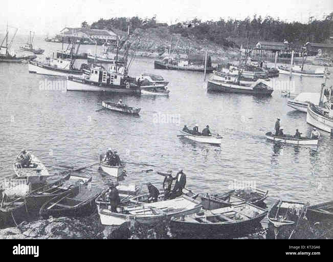 Purse seine boats are shown in use on Puget Sound near Richardson Wash ...