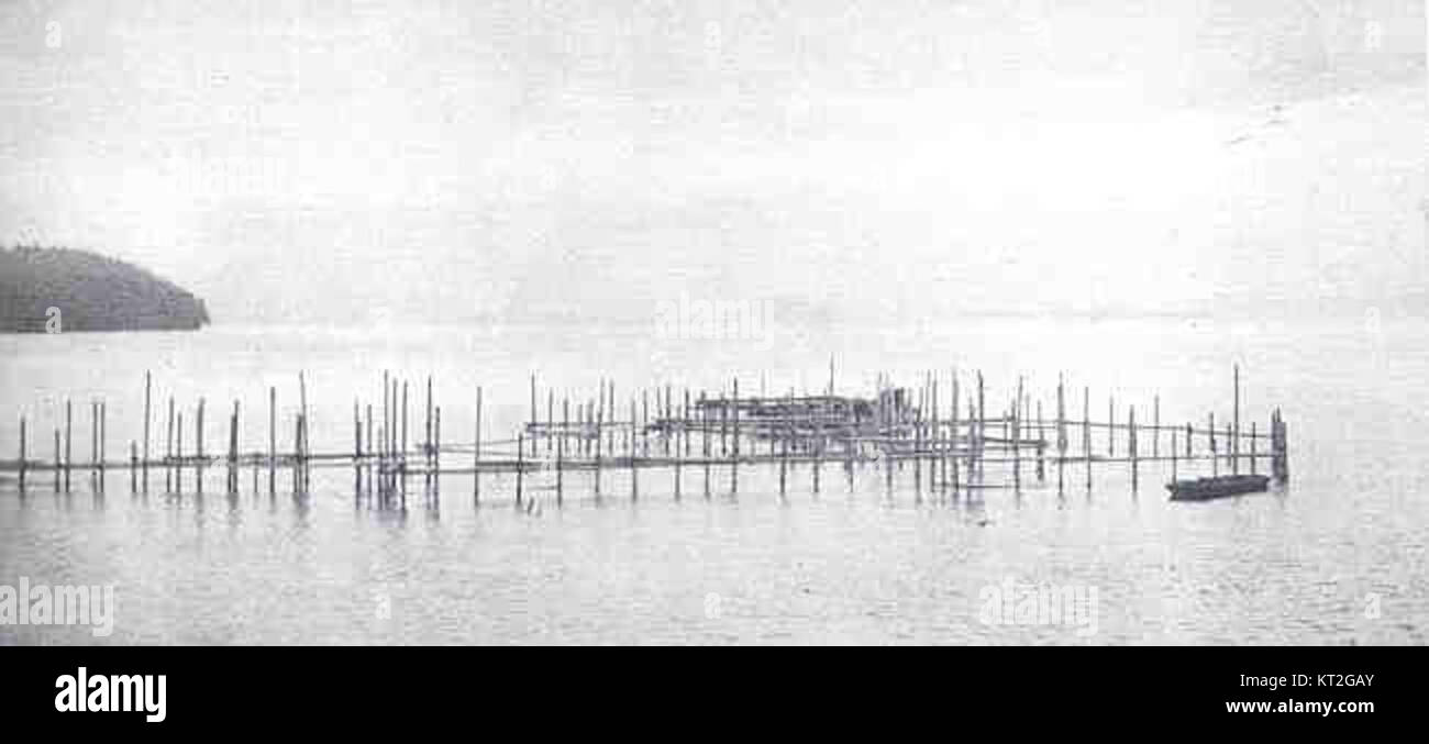 A historical photograph of a salmon trap in Puget Sound, showcasing the ...