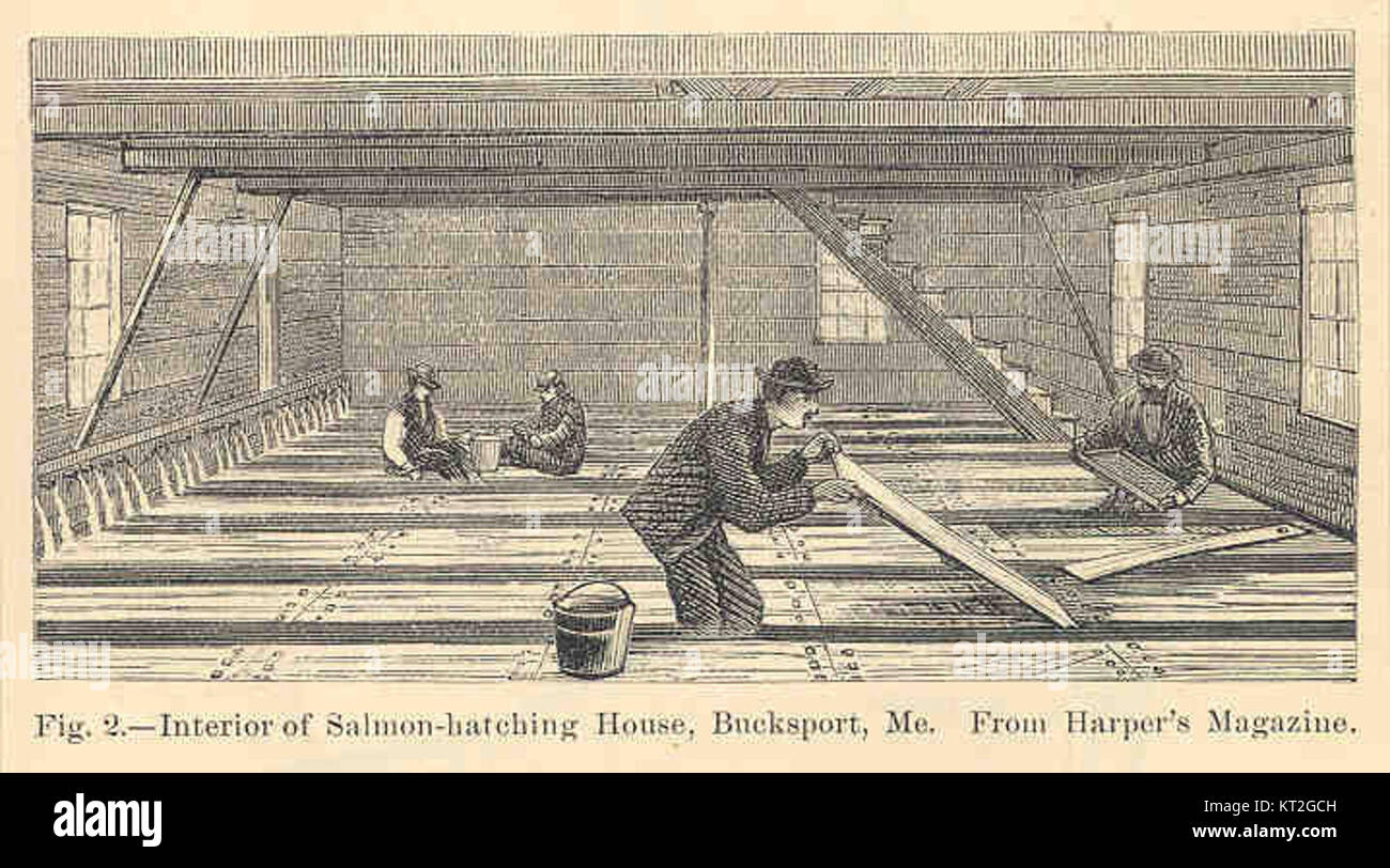 The interior of the Salmon-Hatching House in Bucksport, Maine, shows ...