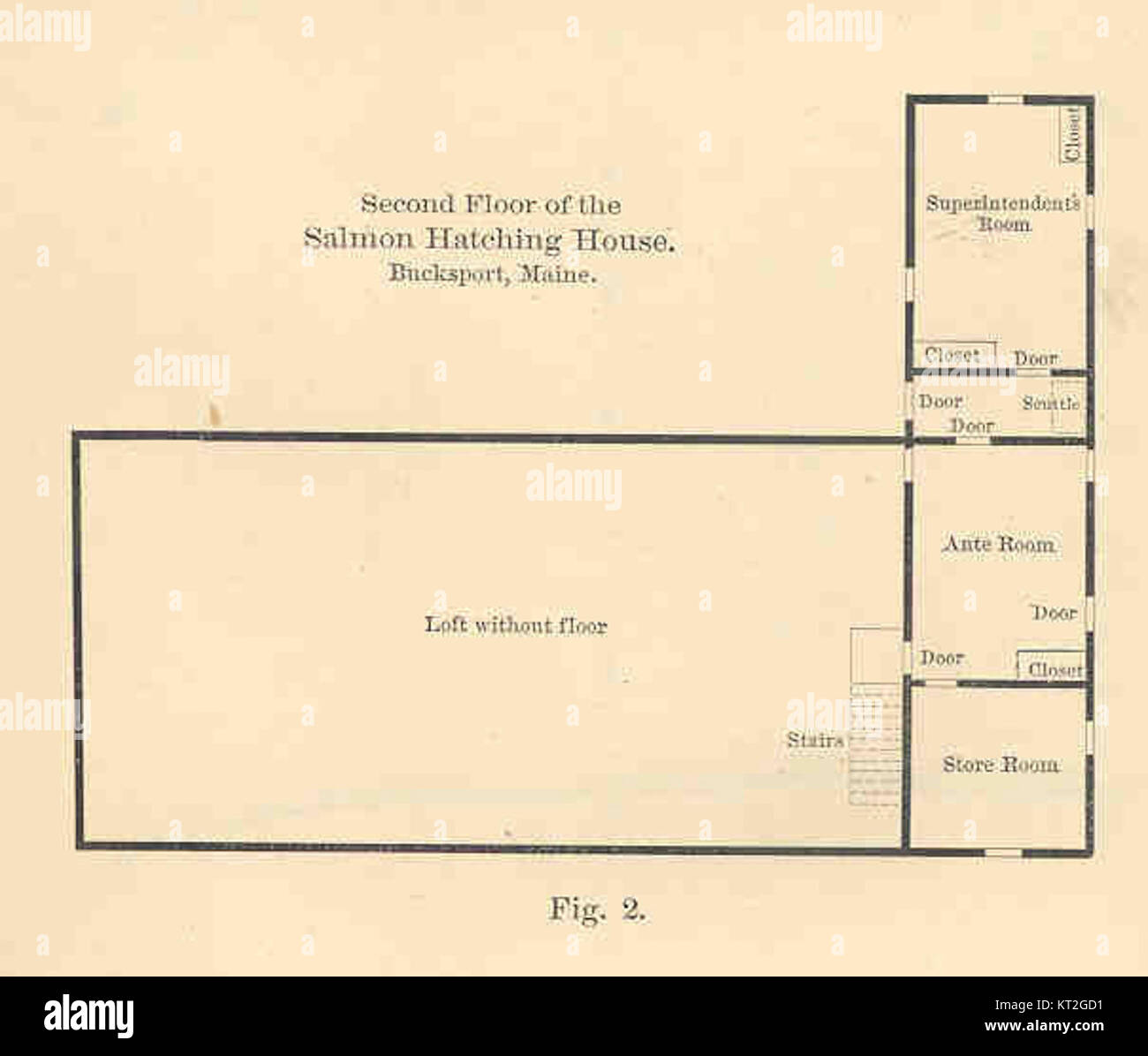 Hatching floor hi-res stock photography and images - Alamy