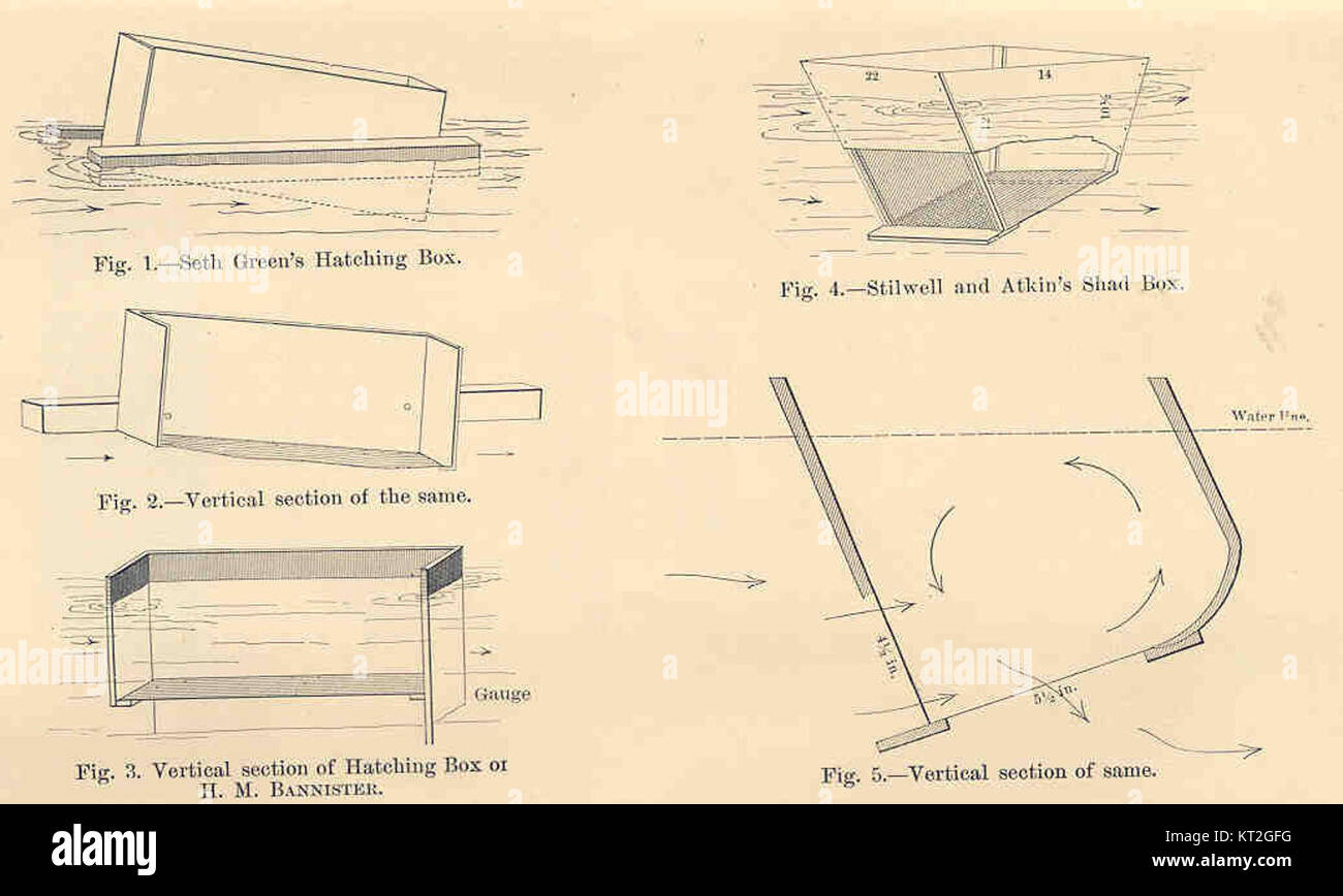Vertical hatching hi-res stock photography and images - Alamy