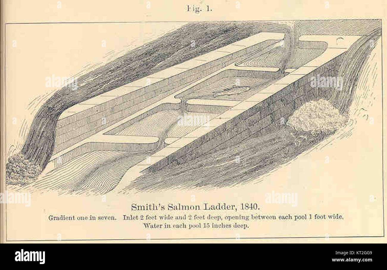Smith's Salmon Ladder, built in 1840, is an engineering structure ...