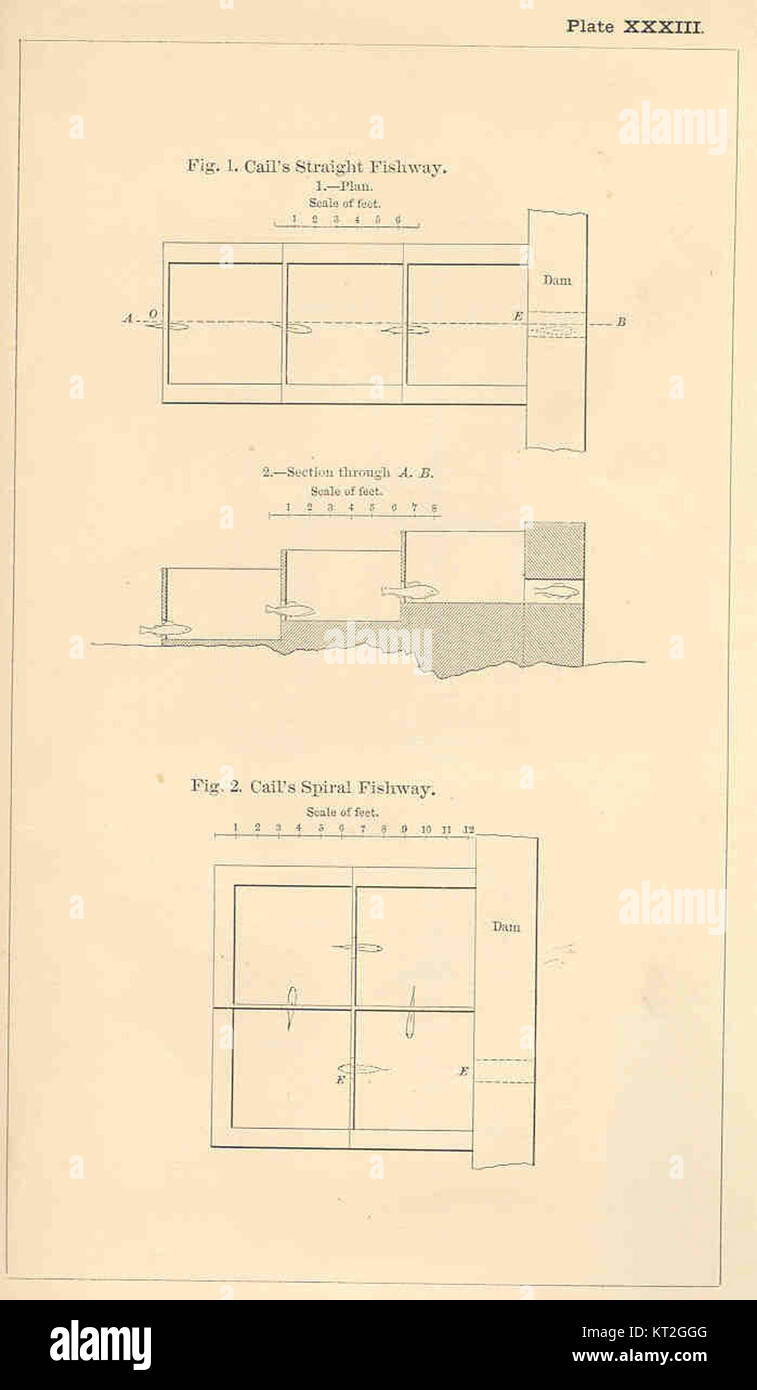 This image features two types of fishways designed by Call's to aid in ...