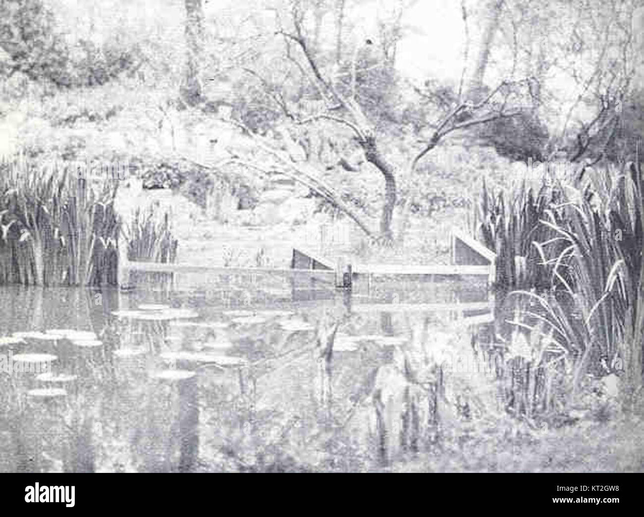 This image depicts the inlet of the larger pond at the University of ...