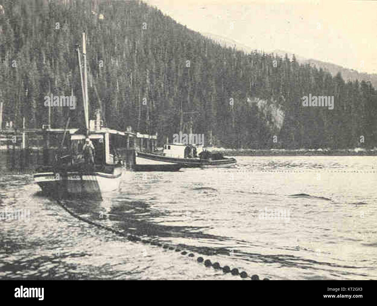 The salmon trap and purse seine are fishing methods used for capturing ...