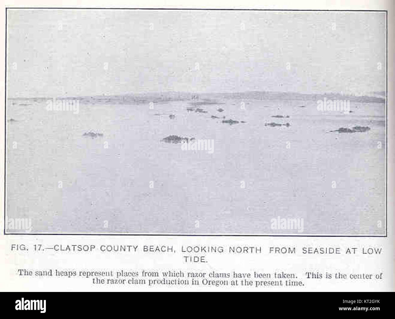 This photograph shows Clatsop County Beach in Oregon, with a view ...