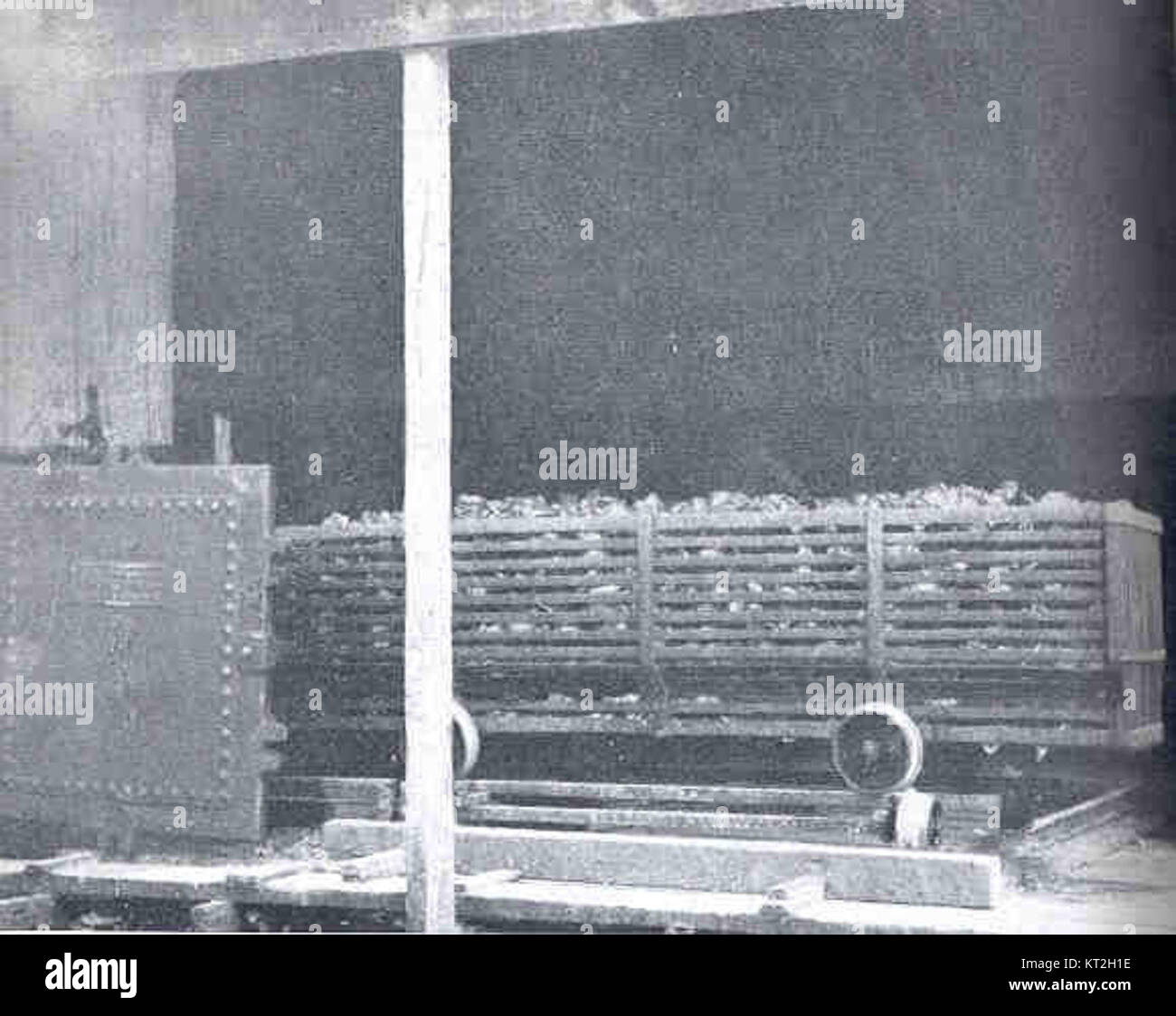 This image shows a car loaded with oysters, ready to be run into a ...