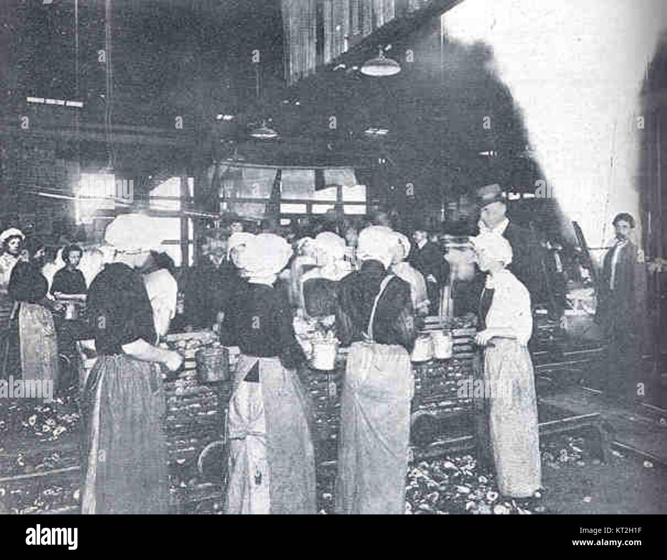 Seafood canning facility hi-res stock photography and images - Alamy